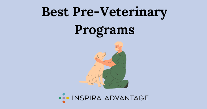 Top 10+ Pre-Veterinary Medicine Programs in 2024